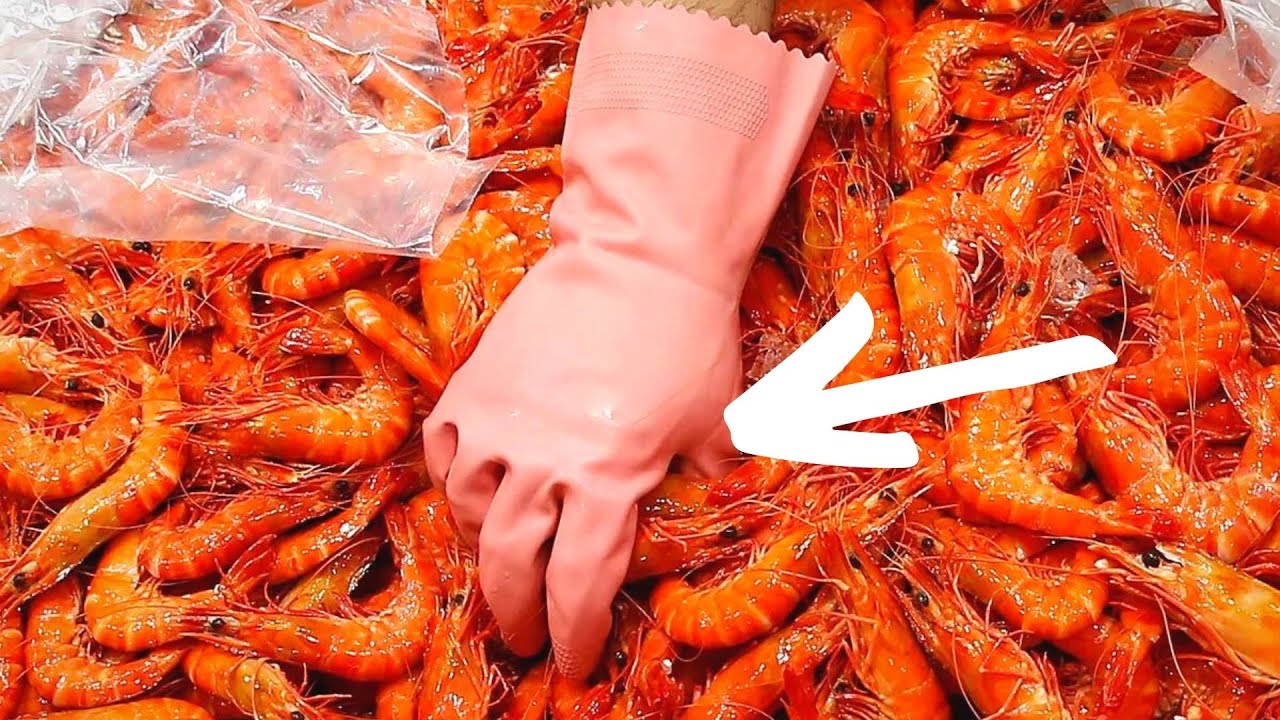 How Shrimp Are Caught & Processed? | Most Interesting Manufacturing ...