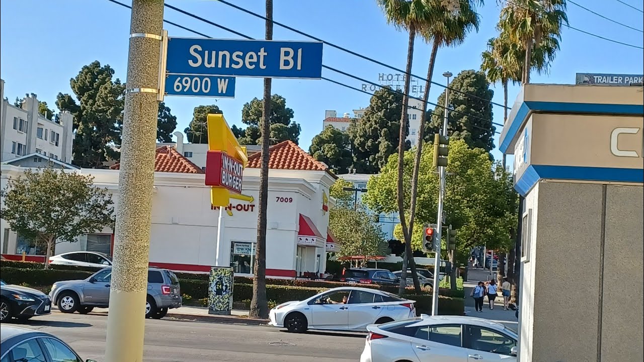 What is it like to walk down Sunset Blvd now? - YouTube