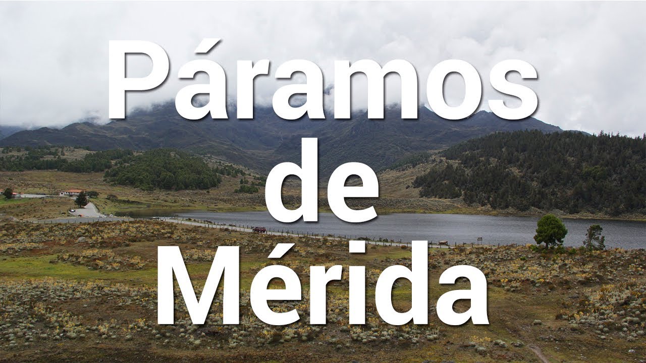 Páramos de Mérida | Tierra de Gracia - YouTube