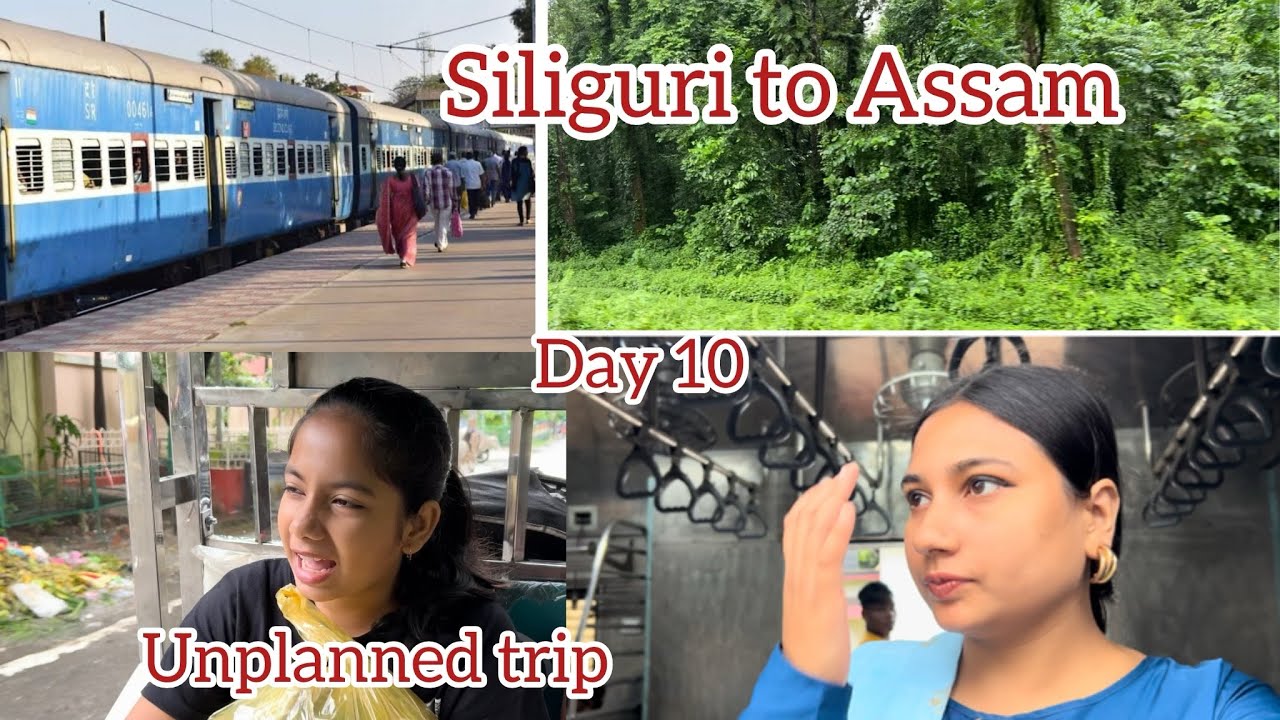 Siliguri to Assam ||Unplanned Trip😍🎉#assam #trip #viralvideo # ...