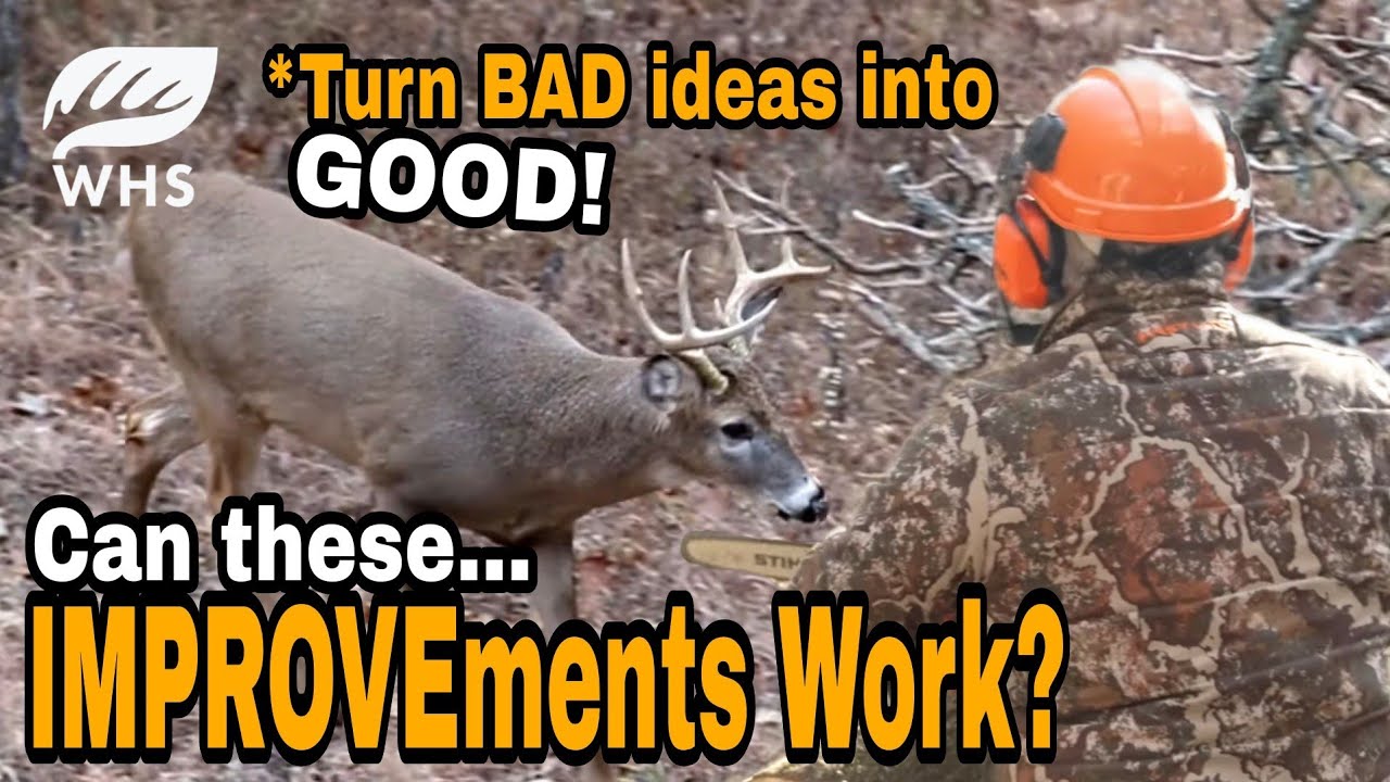 Bad Deer Habitat Improvements Turned Good - YouTube