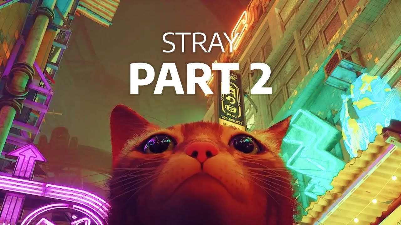 Découverte Stray (part 2) - YouTube