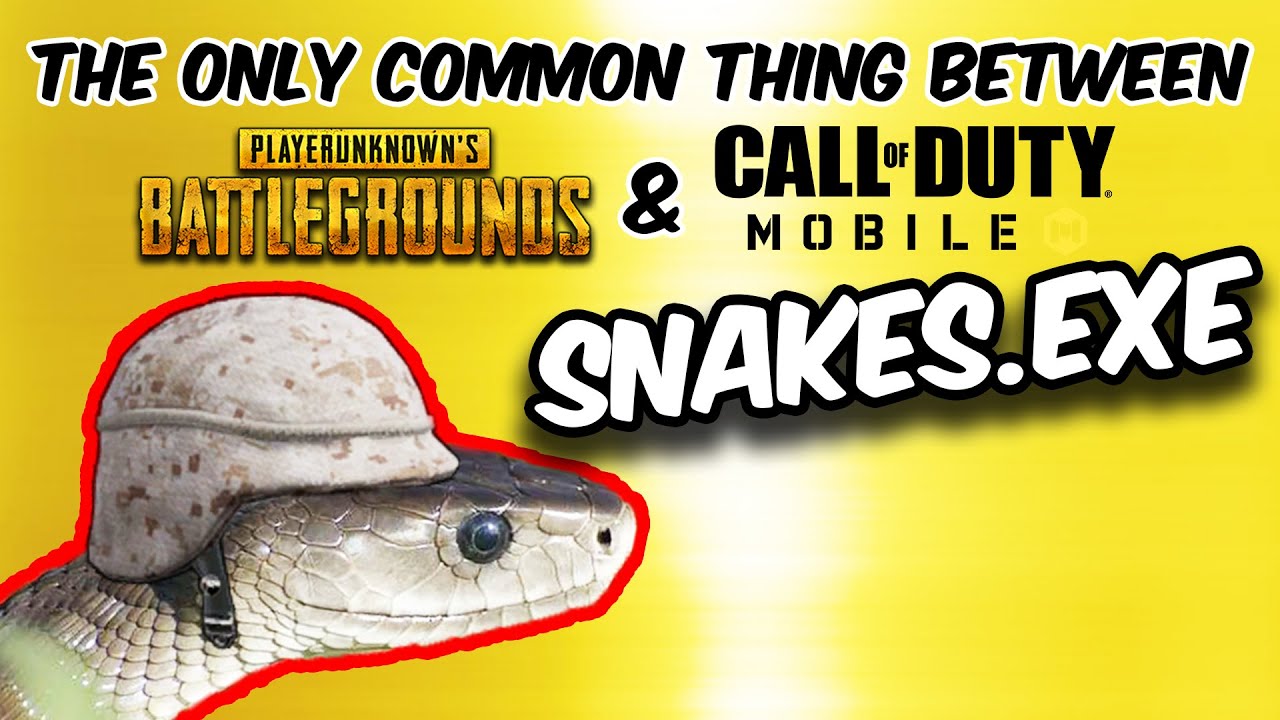 SNAKES.EXE | PUBG & COD MOBILE - YouTube