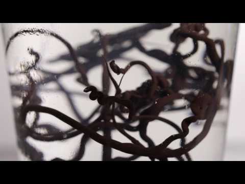 İlham Veren Teknikler - Çikolata Dekor Tekniği