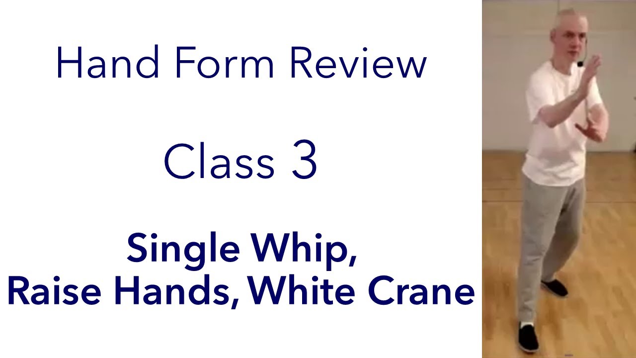 8/16/2023 Wed HF Rev #3, Single Whip, Raise Hands, White Crane - YouTube