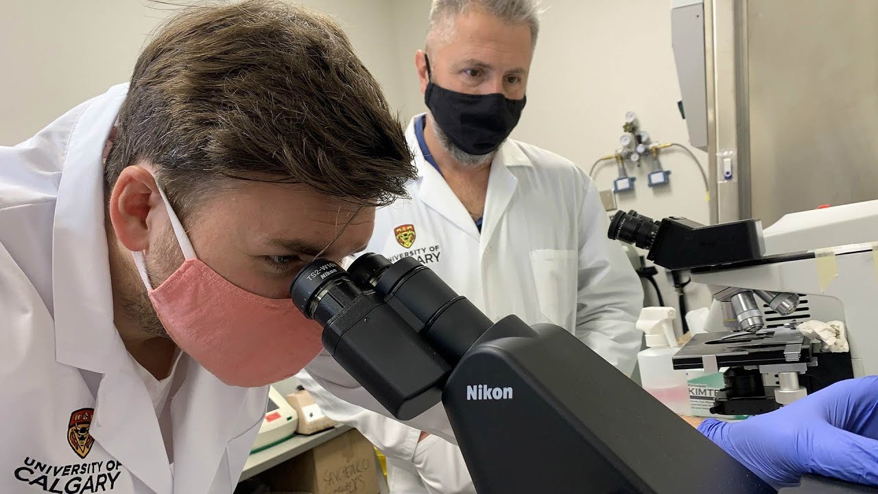 How lab-grown seafood is getting a big boost in Calgary - YouTube