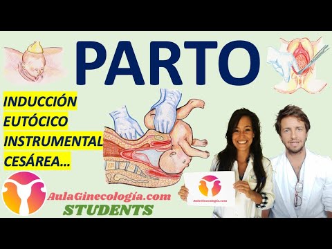 PARTO. AulaGinecología - STUDENTS. INDUCCIÓN, PARTO NORMAL, PARTO ...