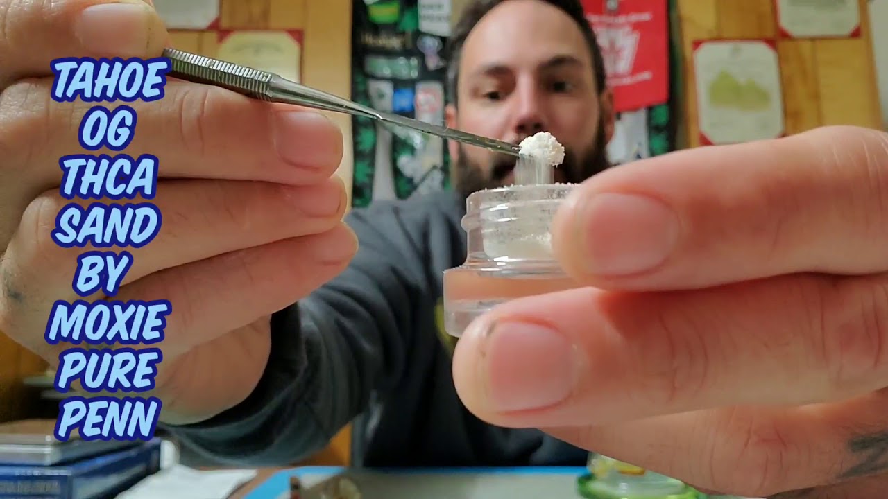 TAHOE OG THCA SAND BY MOXIE PURE PENN - YouTube