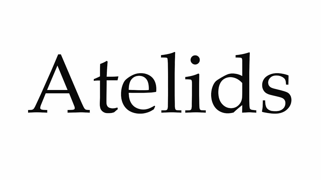 How to Pronounce Atelids - YouTube