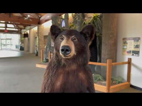 Salato Wildlife Education Center - quick walkthrough - YouTube