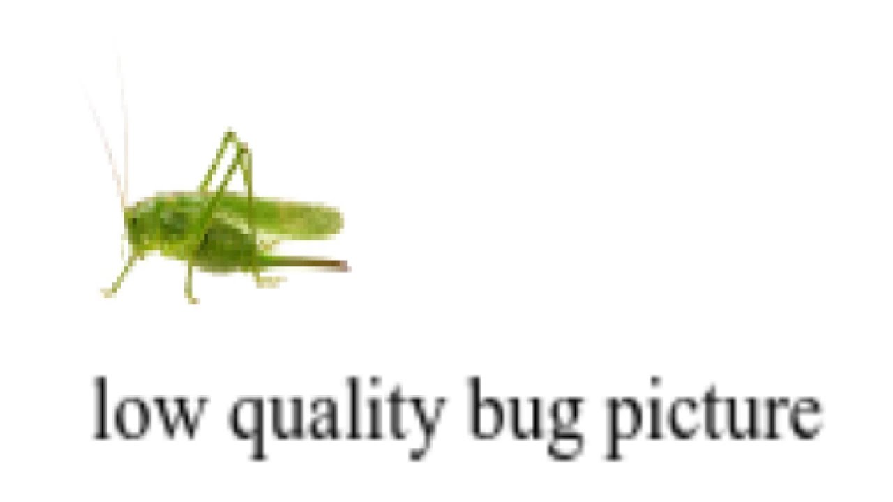Low Quality Bug Picture Generator - Official Trailer - YouTube