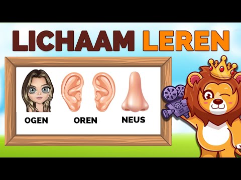 Leer Je Kind Alle Lichaamsdelen! 👀👂 | Lichaamsdelen Leren |  NL✅