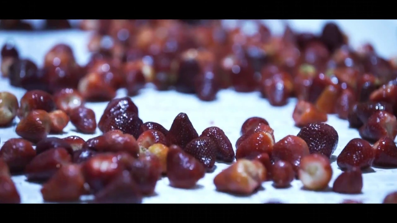 El-Rawda for Export - YouTube
