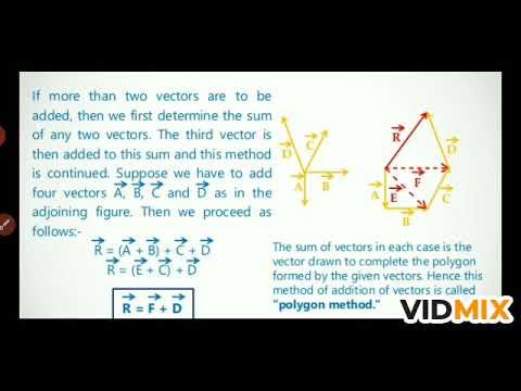 VECTORS.... CLASS 11 TH - YouTube