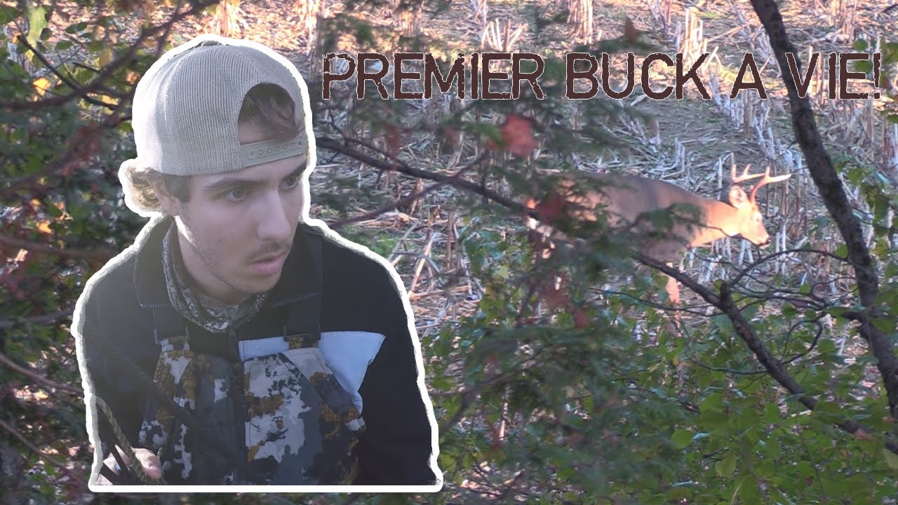 PREMIER BUCK A VIE ! ( Étienne tue son buck sur le call) - YouTube