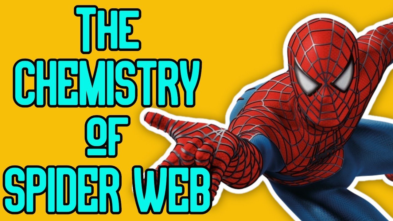 The Chemistry of Spider Web, Spiderman's favourite weapon 🕸 - YouTube