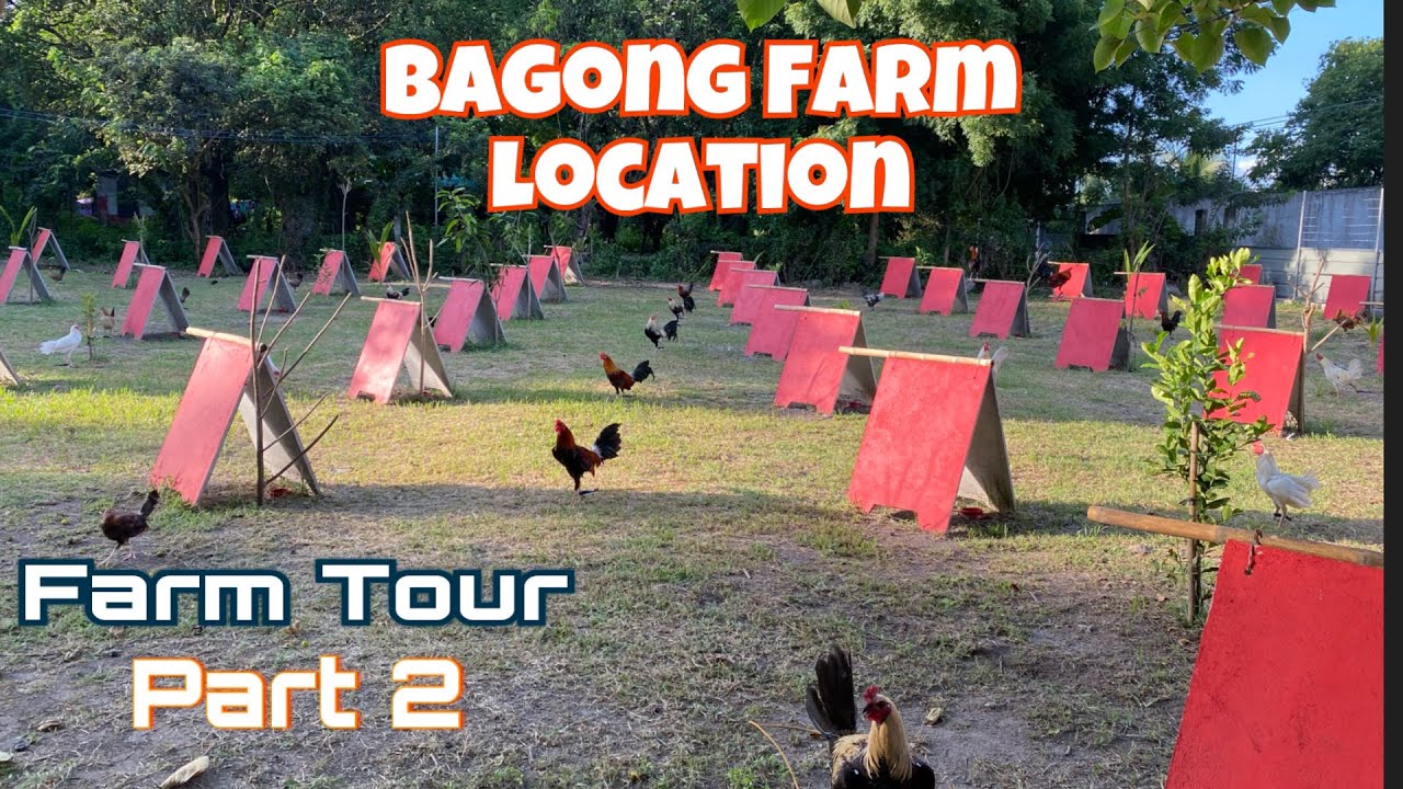 Bagong Farm Location ( Farm Tour Part 2 ) - YouTube