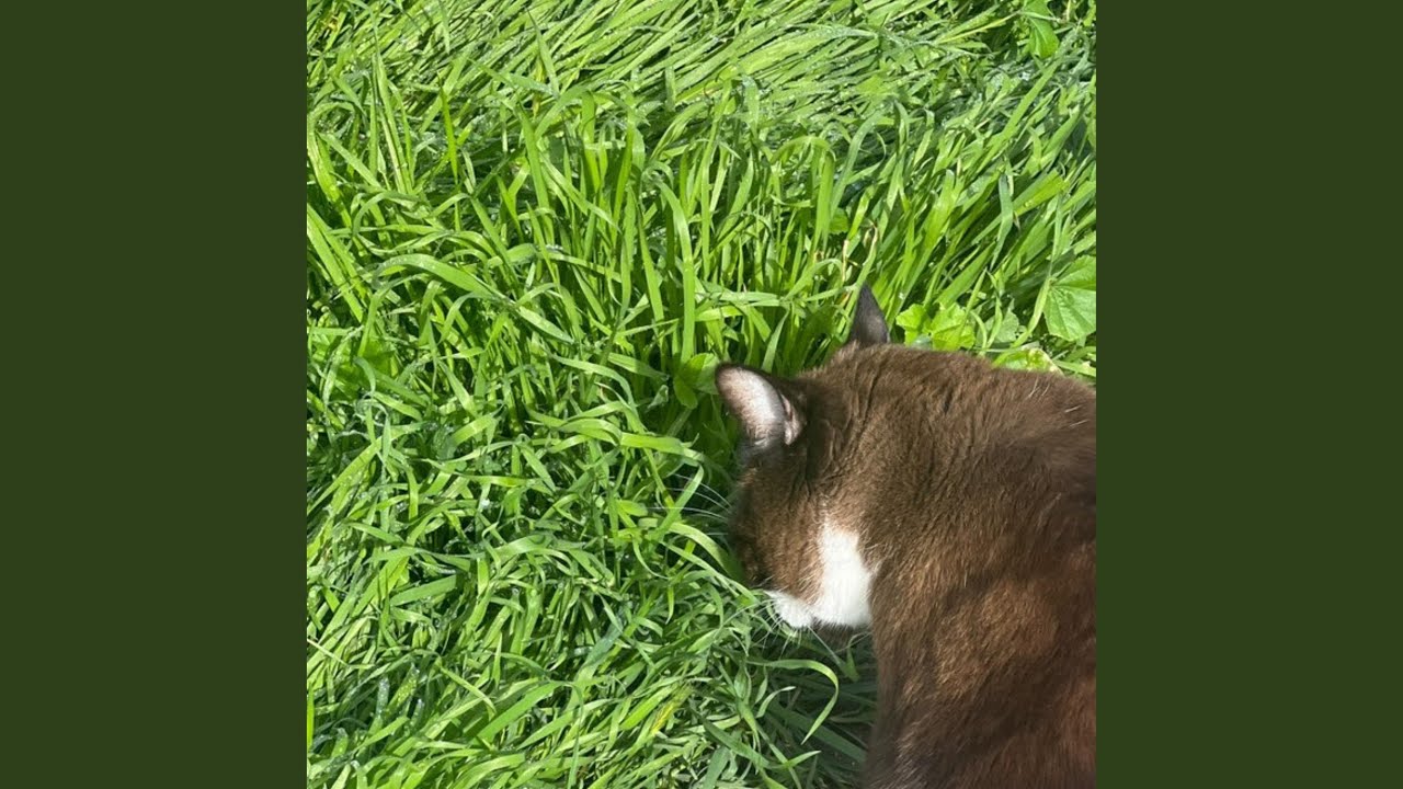 Attatched (feat. Narcotik) - YouTube