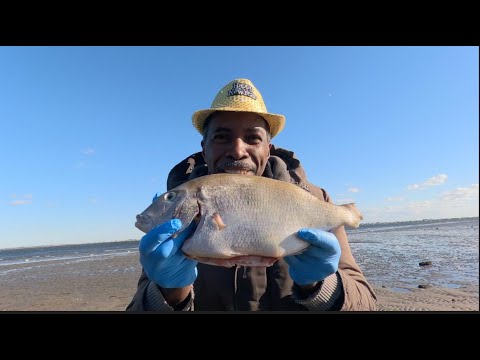 Happy New Year Beach Adventure | Cooking a Nice Big Juicy Porgy - YouTube