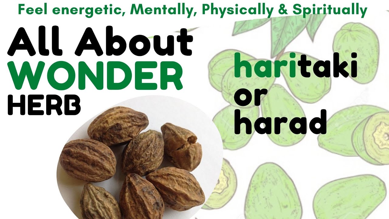 See how Wonder Herb sets us disease free - YouTube