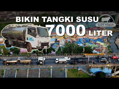 UNTUNG BESAR JUAL SUSU SAPI PETERNAKAN SENDIRI KE PABRIK OMSET 1 MILYAR , PERSIAPKAN INI ..
