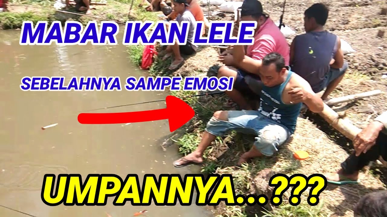 mancing ikan lele @londoarap3967 - YouTube