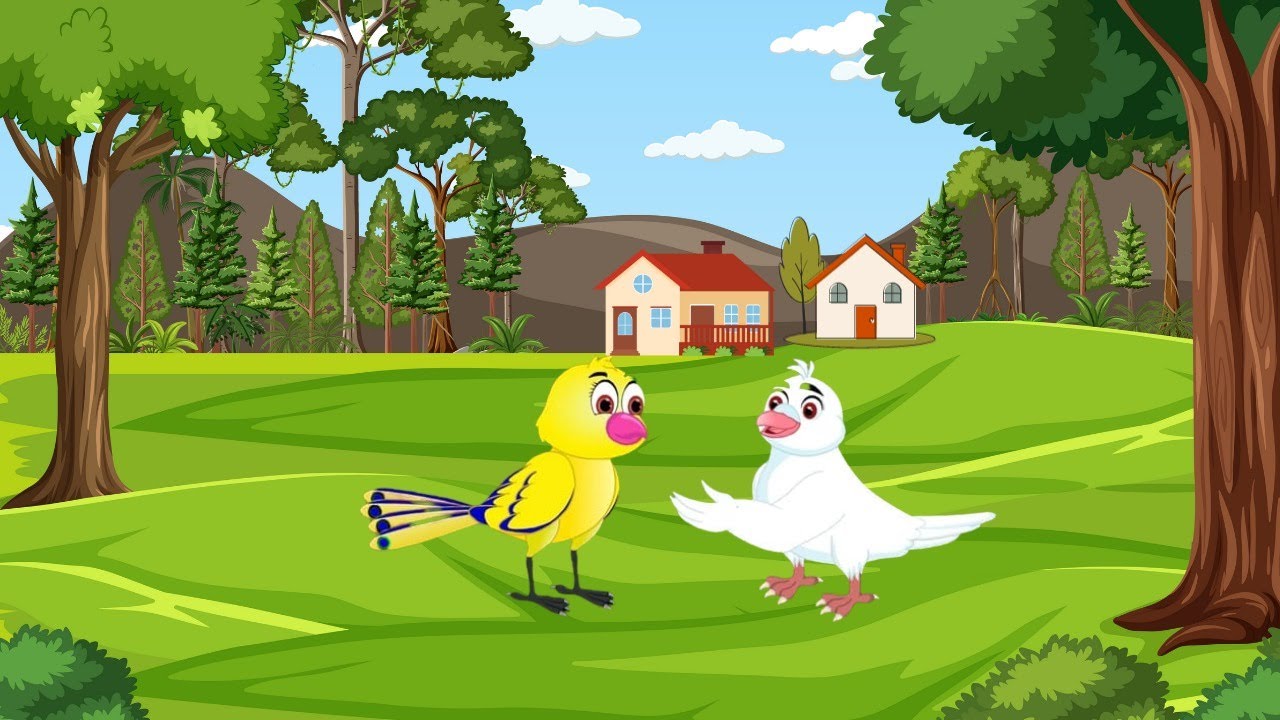 Cartoon bird animation green screen || tuni birds animation || Mr.Sneak ...