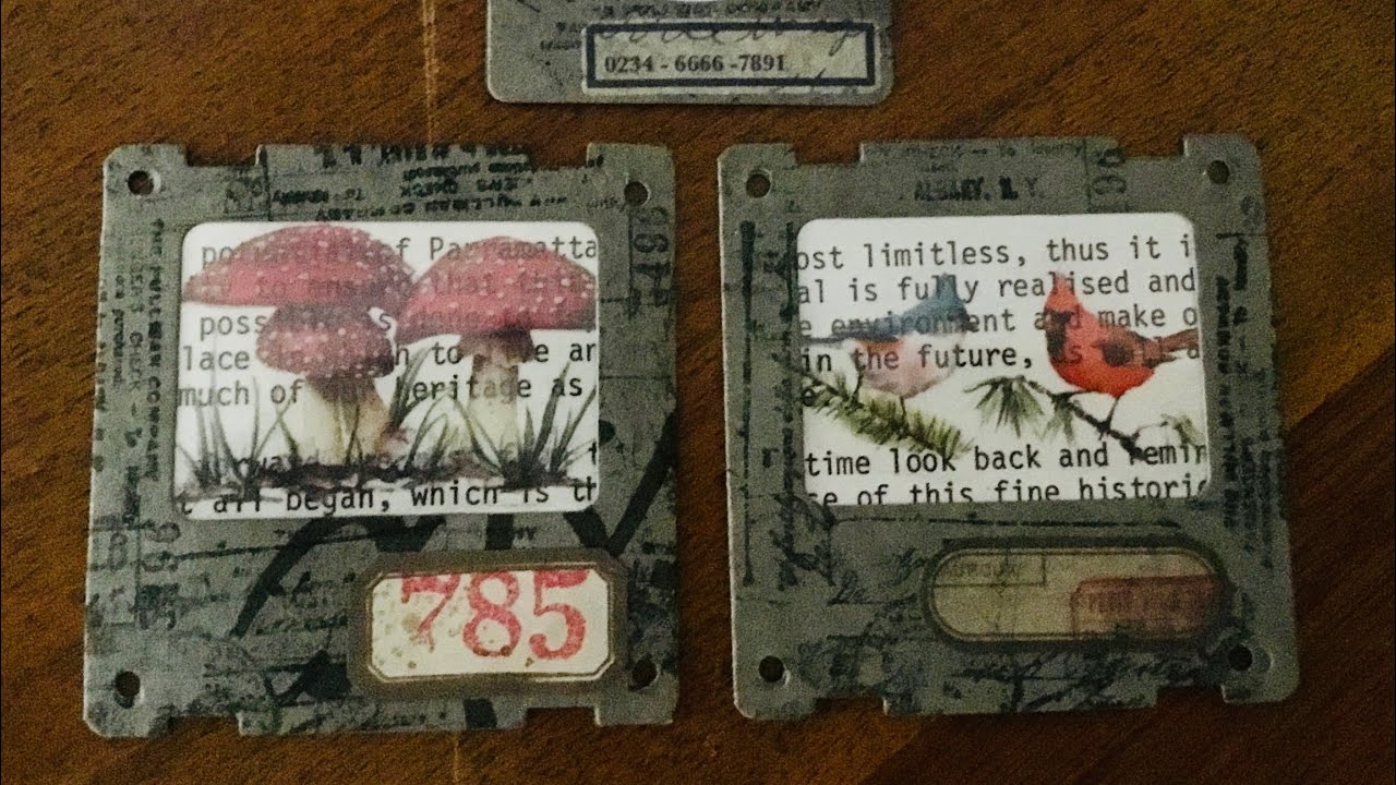 Super easy Specimen Slides using file folders - YouTube