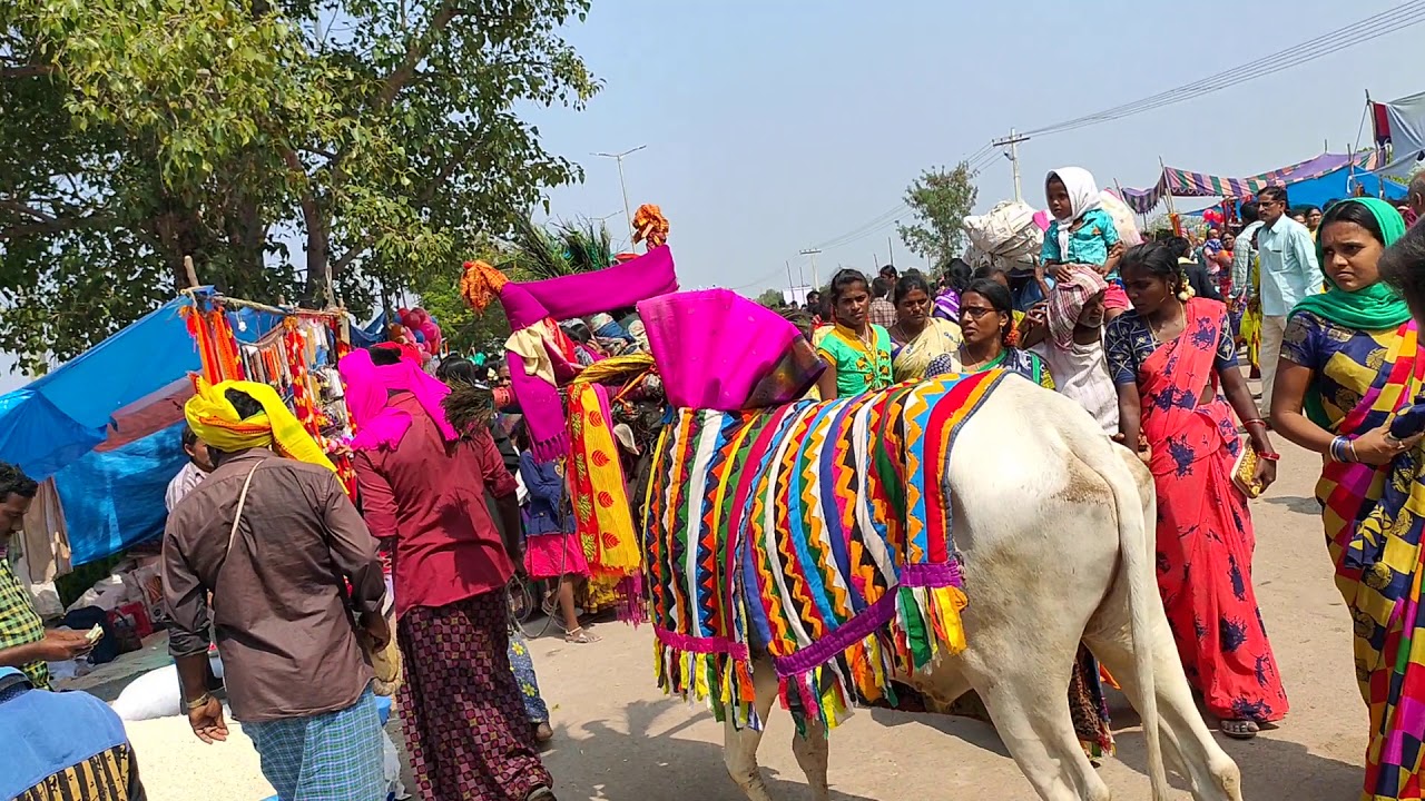 sammakka saralamma "jathara. - YouTube