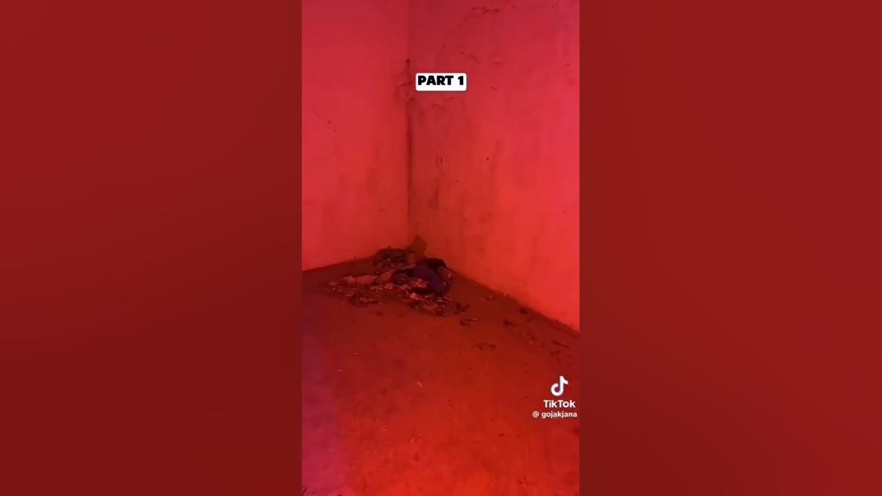 Gojak Jana para Live! #tiktok @Gojakjana,@csanad.fulop_, @baloghricso - YouTube