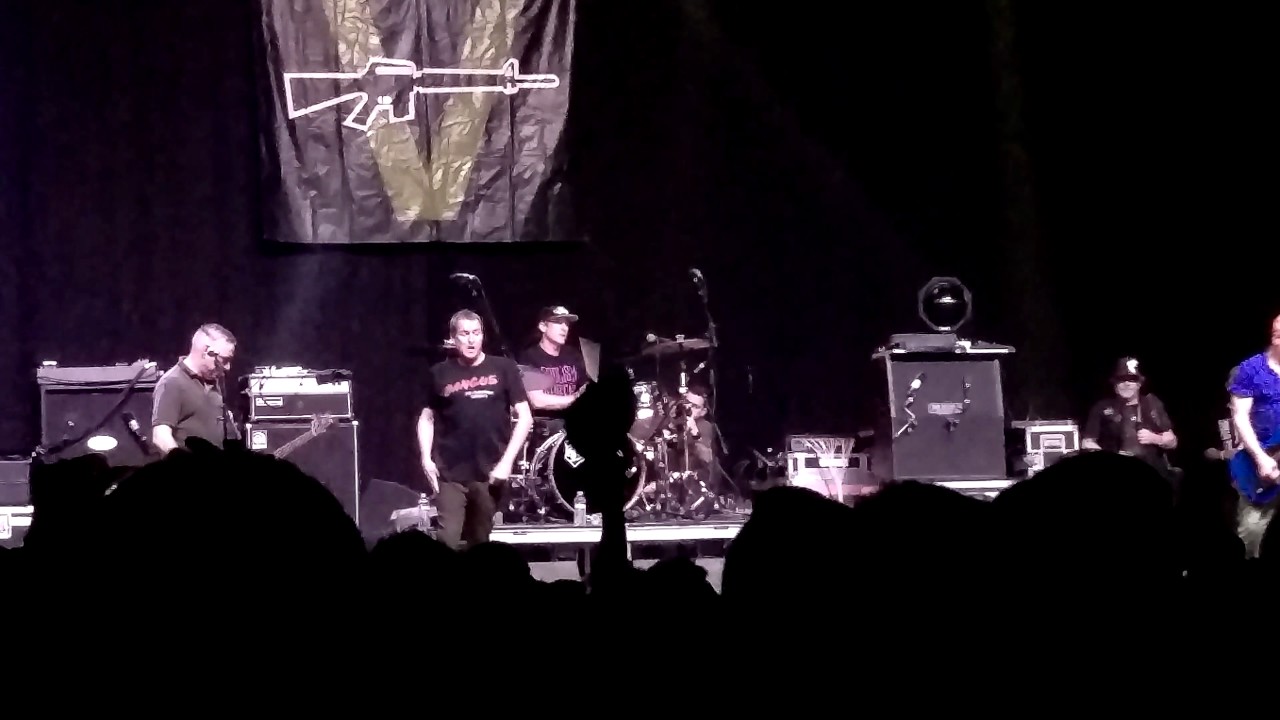 The Vandals - I've Got An Ape Drape - Live at Musink 2017 - YouTube