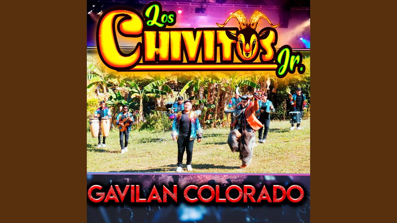 Gavilán Colorado - YouTube