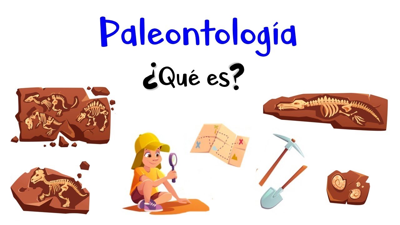 🦖 ¿Qué es la Paleontología? 🦕 [Fácil y Rápido] - YouTube