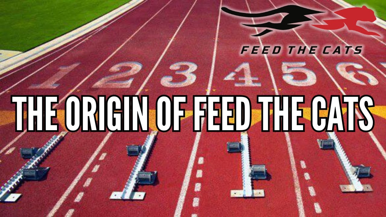 How Feed the Cats Speed Training Became a Business (pt. 2) - YouTube