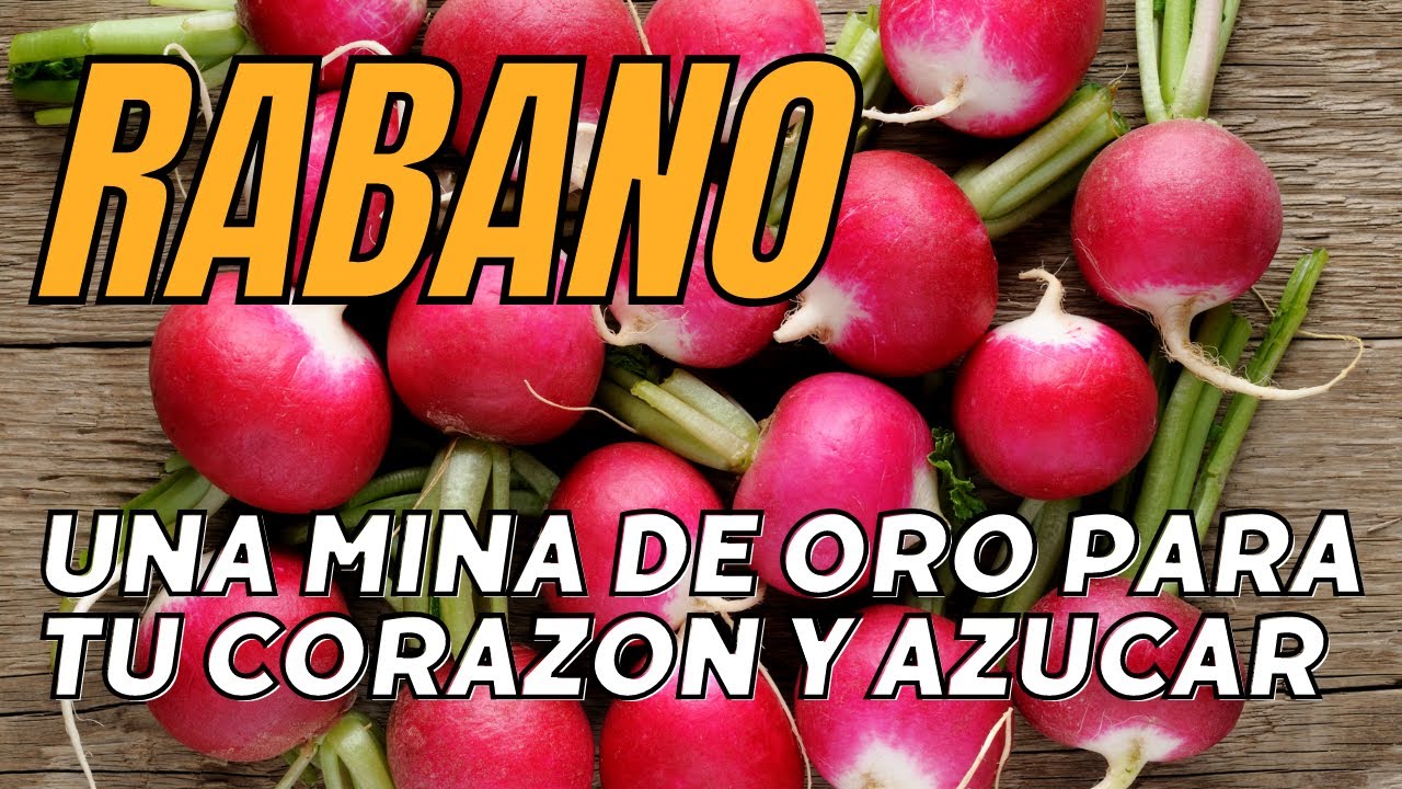 Beneficios del rábano | 15 propiedades y beneficios del rábano, como se ...