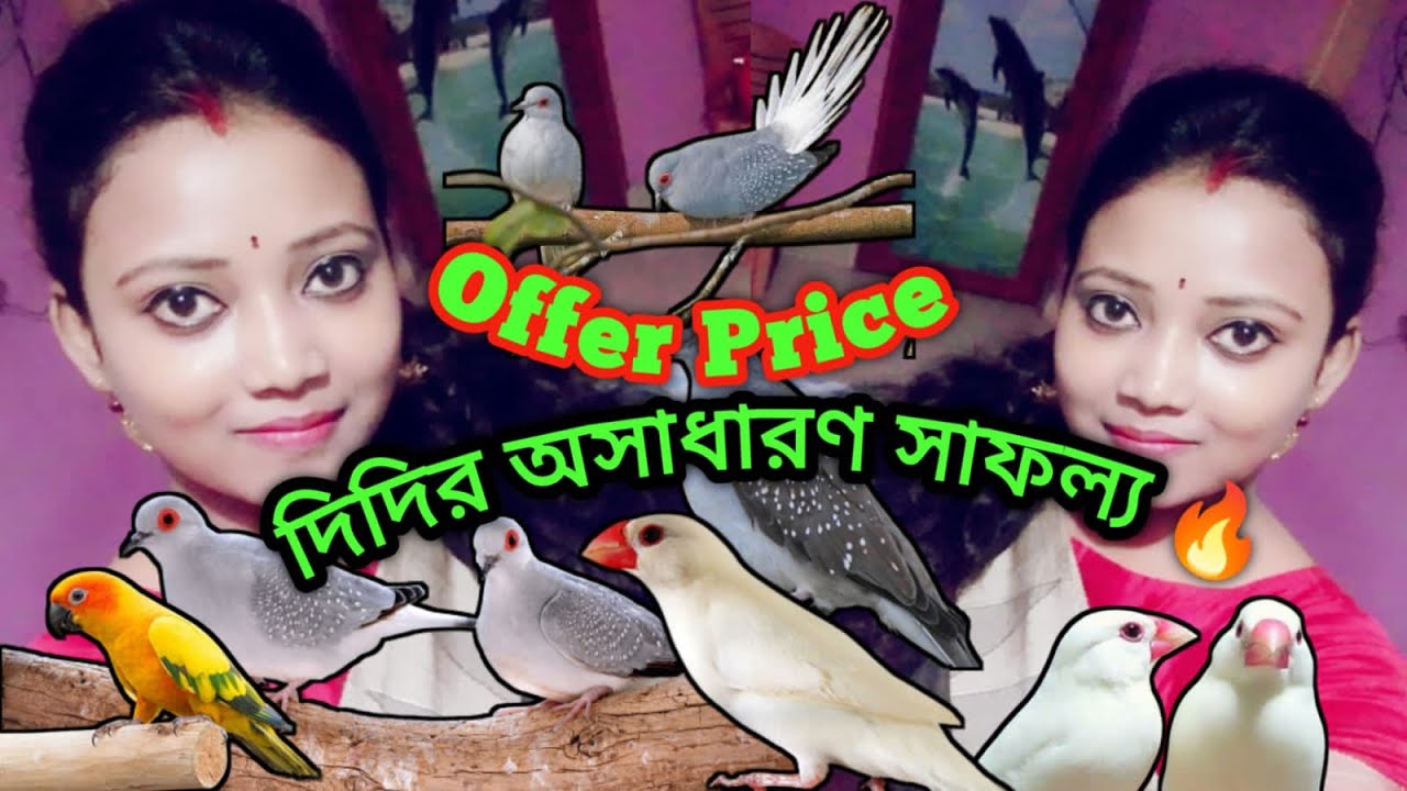 Lady Farmer || Visit Tanushree Biswas Birds Breeding Setup || Bird ...
