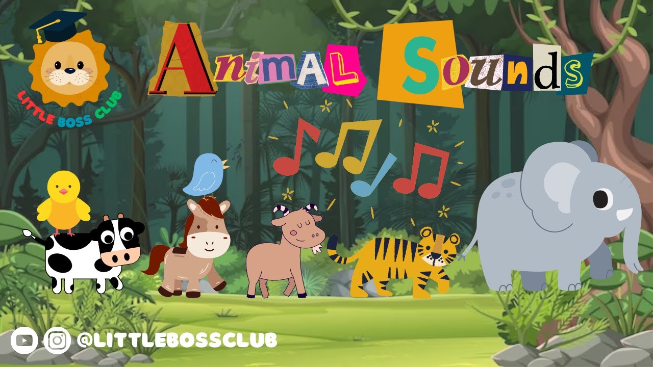 Symphony of Sounds: Exploring Animal Calls - YouTube