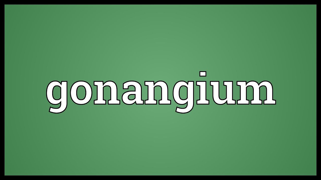 Gonangium Meaning - YouTube