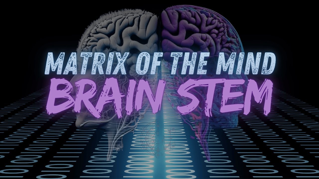Matrix of the Mind // Occult Anatomy // Limbic System // Brain Stem ...