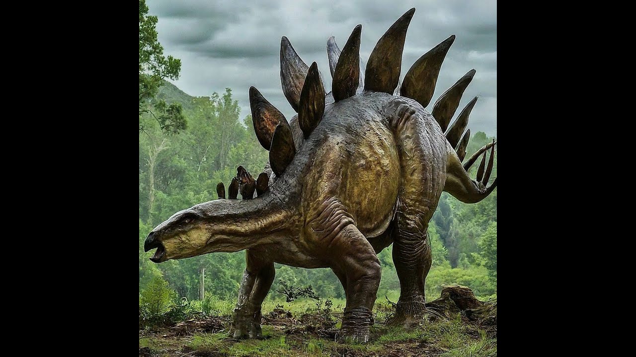 Stegosaurus: The Plated Giant lizard of the Jurassic. - YouTube