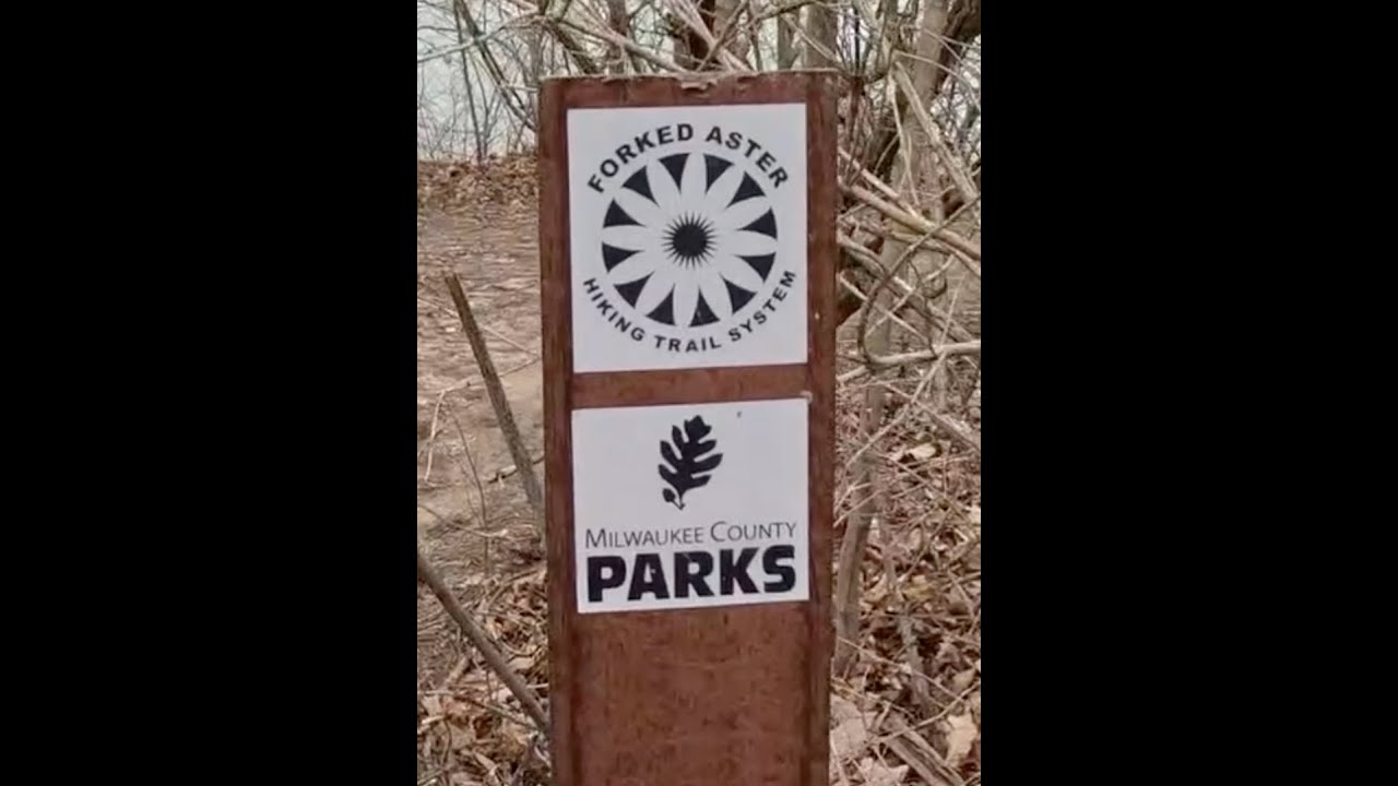 Forked Aster Hiking Trail at Grant Park - YouTube