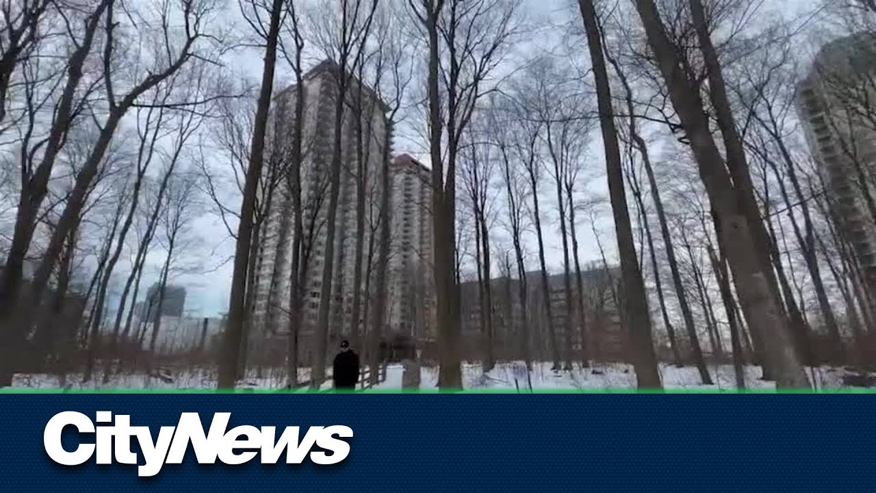 Explore the great outdoors in the Scarborough neighbourhood of Bendale ...