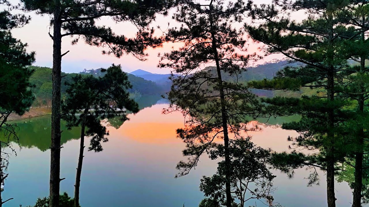 Forest Sounds For Meditation & Relaxation | Nature Sounds (Bird Sounds ...