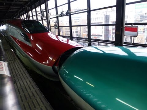 東北新幹線 E5, E6系, 盛岡の Japan Bullet Trains: Shinkansen Kiss at Morioka ...