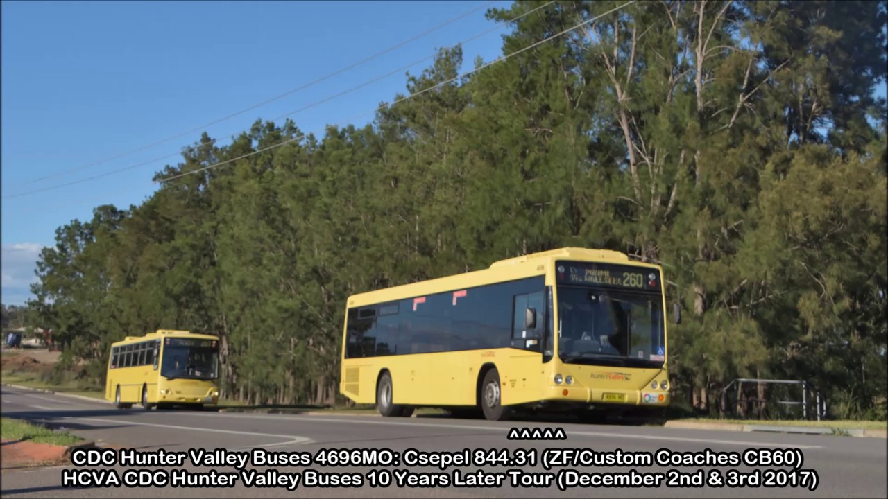 CDC Hunter Valley Buses 4696MO: Csepel 844.31 (ZF/Custom Coaches CB60 ...