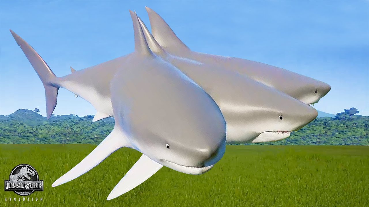 NEW 3 HEADED MEGALODON SHARK HYBRID - DINOSAUR TOURNAMENT | SHARK ...