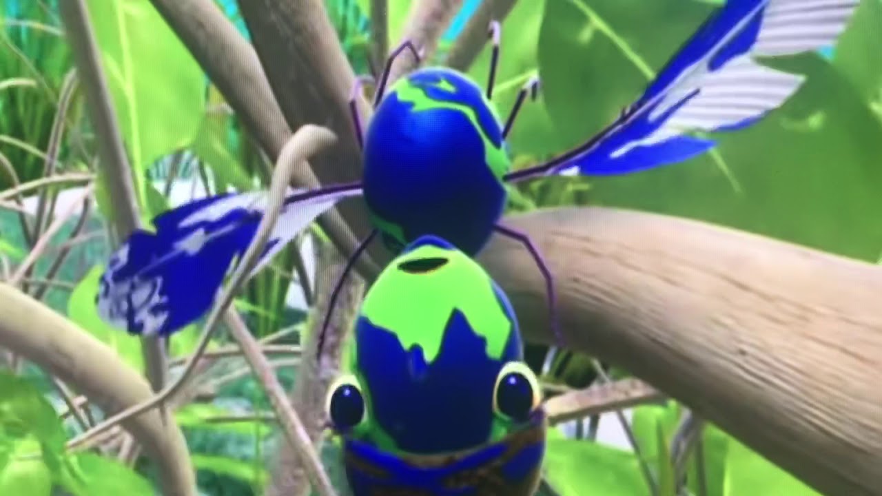 Miss spider's sunny patch friends captain sunny patch flies again - YouTube