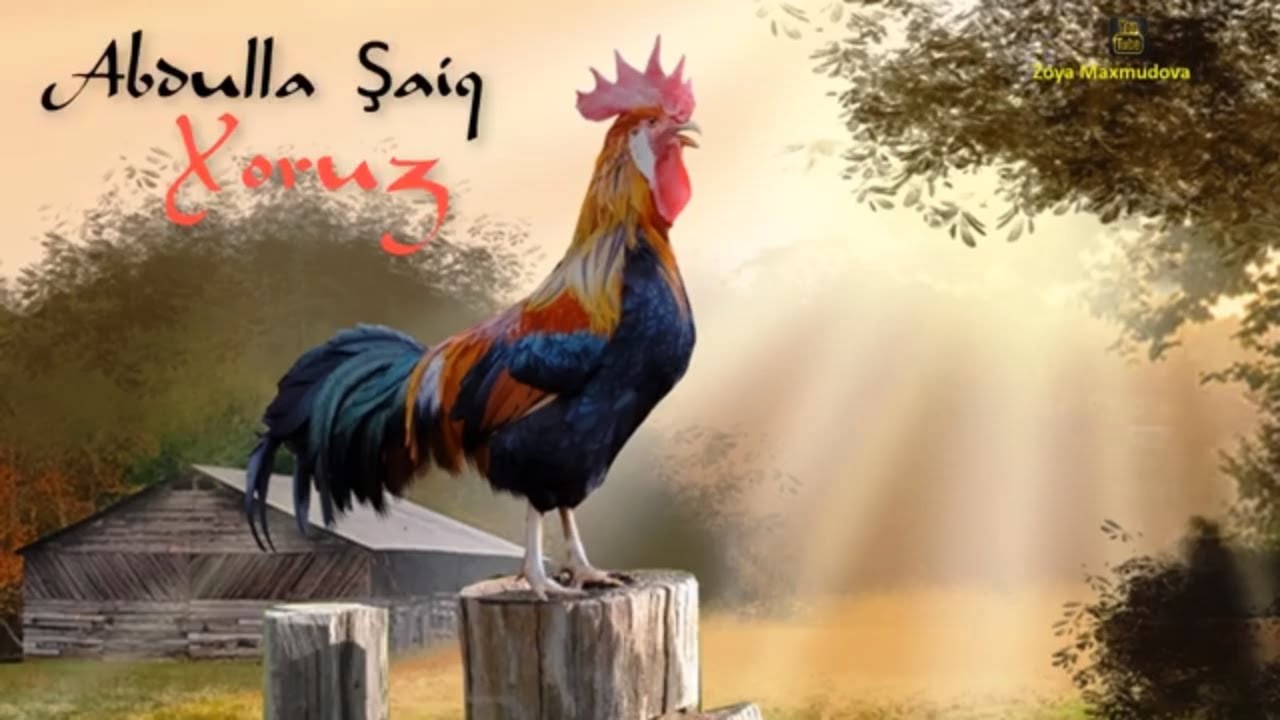 Abdulla Şaiq "Xoruz" şeiri - YouTube