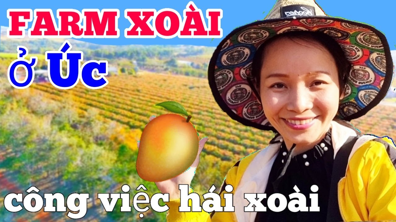 CÔNG VIỆC cơ bản cùng MỨC LƯƠNG trong các FARM xoài | Thôn quê Úc | Làm ...