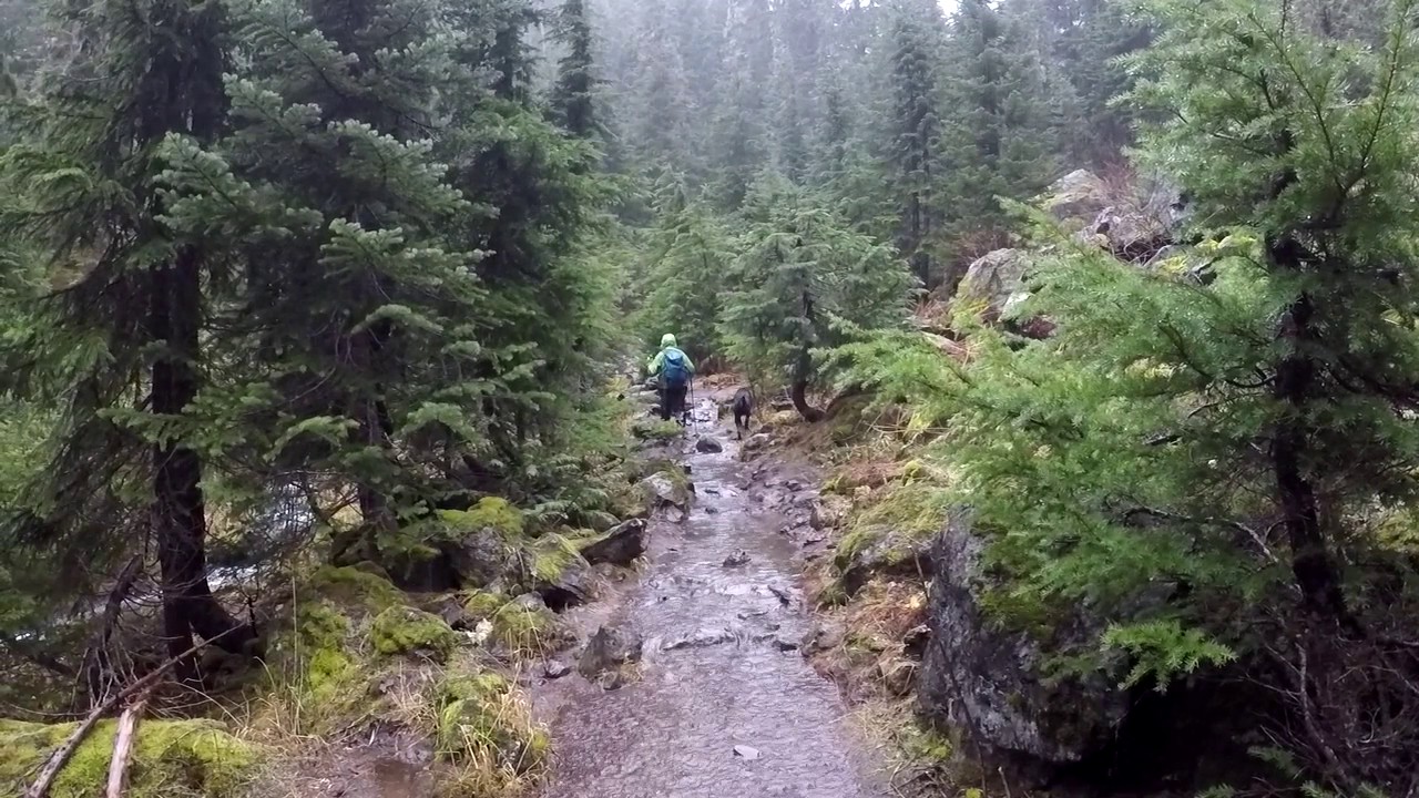 Rainy PNW Hike - YouTube